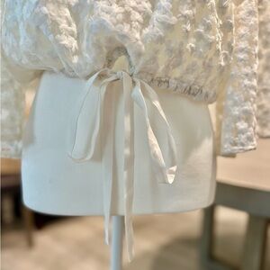 Milly | Tops | Nwot Milly Lydia Floral Embroidered Lace White Crop Top ...